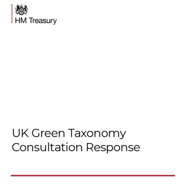 HM Treasury UK Green Taxonomy Consultation Response | The Payments ...