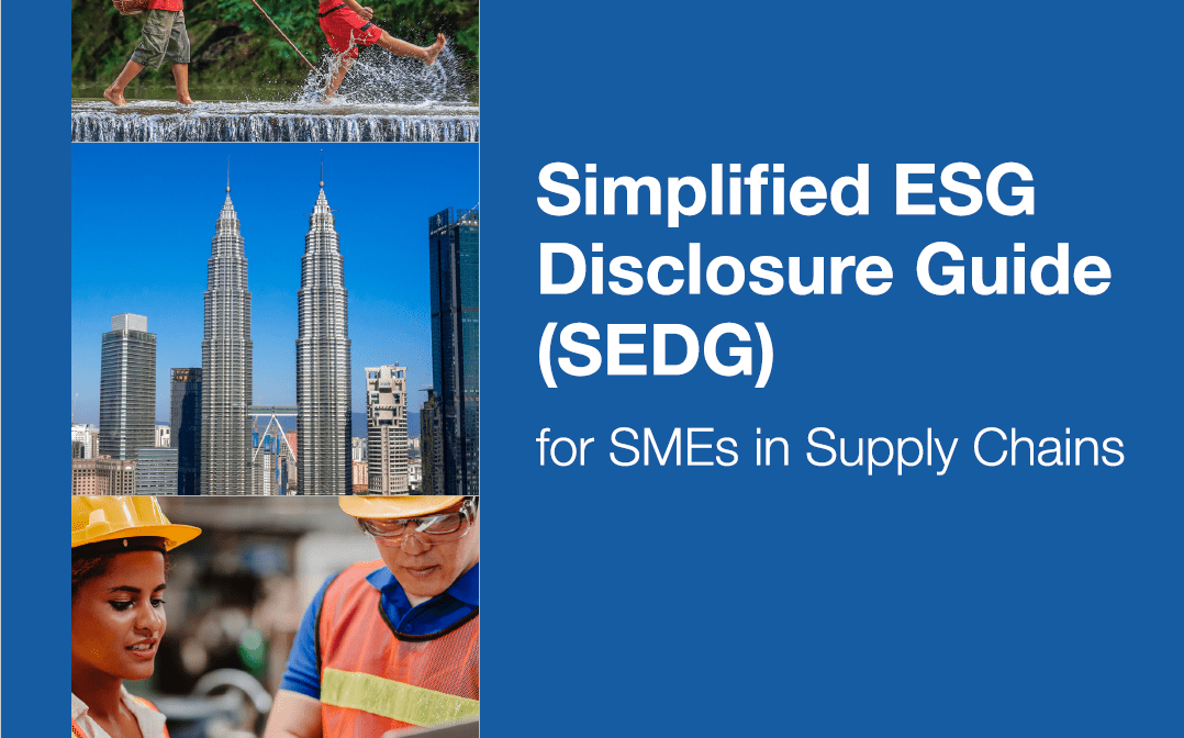 Simplified ESG Disclosure Guide (SEDG) | The Payments Association